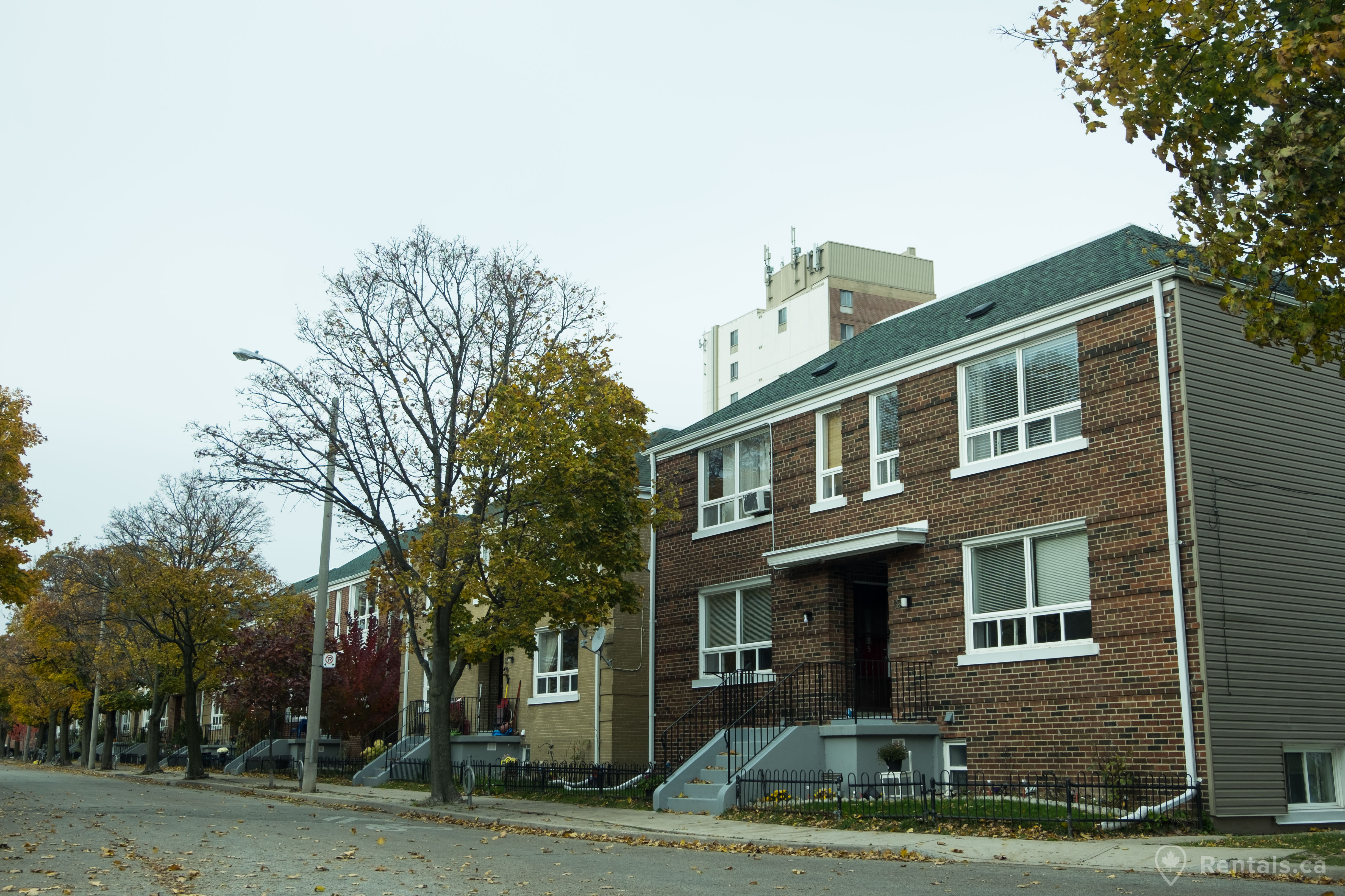 Rentals.ca Mimico Apartments, Condos and Houses For Rent