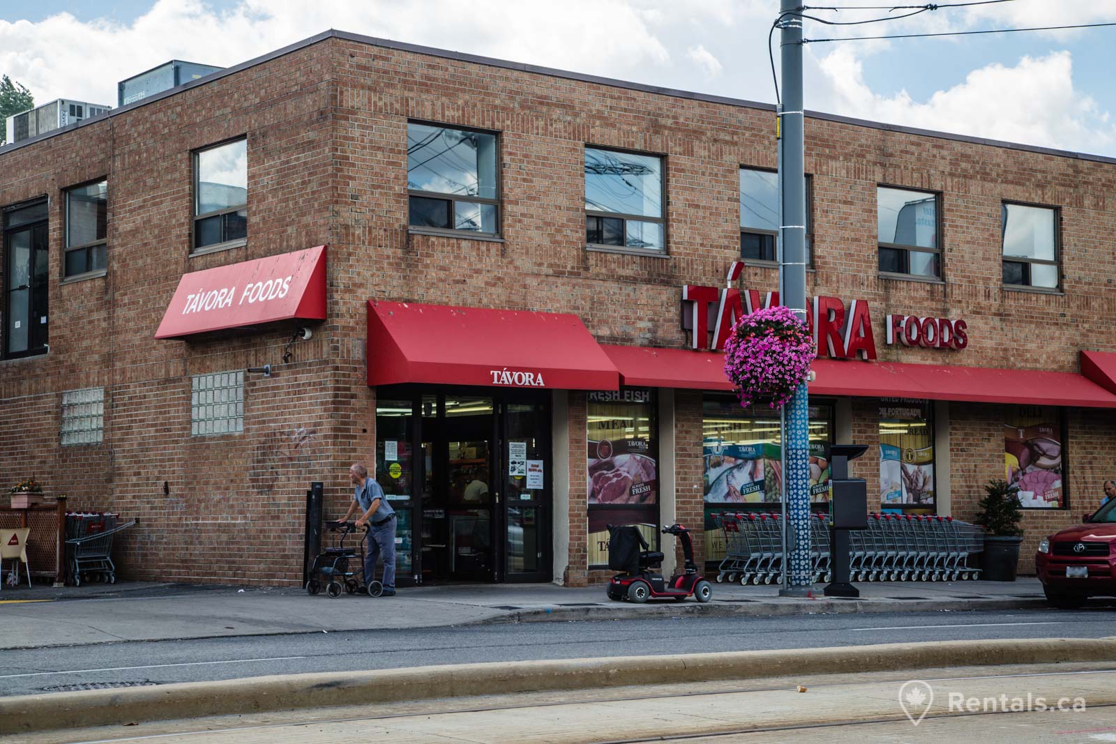 Rentals.ca Little Italy Apartments, Condos and Houses For Rent